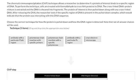 Solved The Chromatin Immunoprecipitation Chip Technique