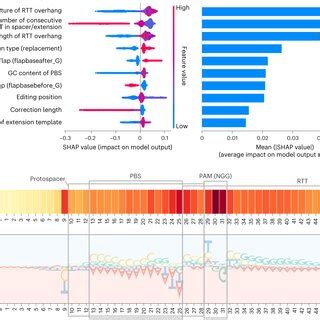 Feature Importance Overview For Editing Prediction A SHAP Analysis On Download Scientific