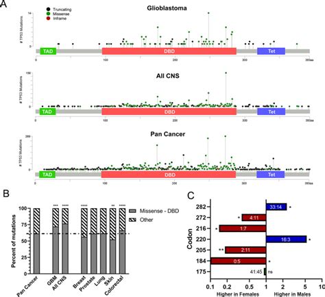 Sex And Mutation Specific P53 Gain Of Function Activity In