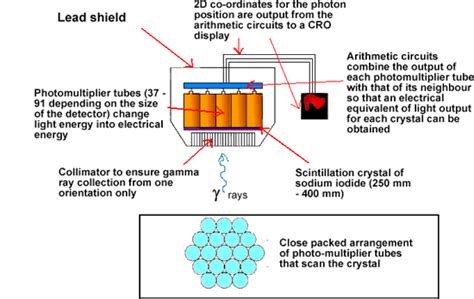 Gamma Cameras Scintillation Cameras