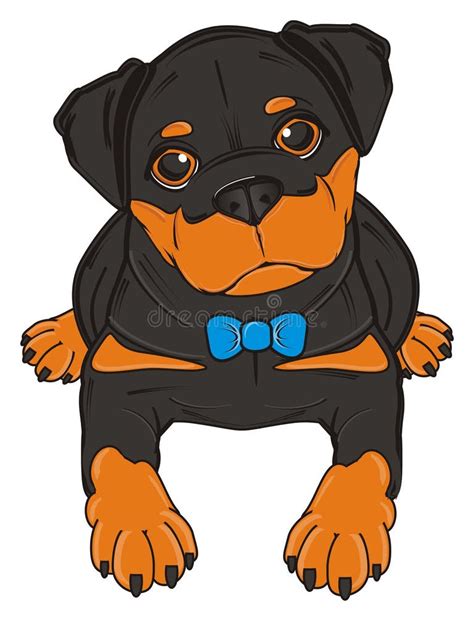 Character Rottweiler Stock Illustrations 1640 Character Rottweiler