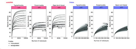 Sample Size Based Rarefaction Extrapolation Sampling Curves Download Scientific Diagram