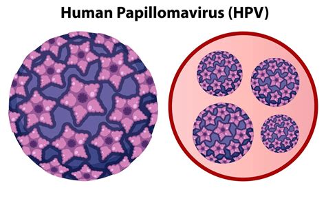 Cytology Training Mediserv Cytology Training School