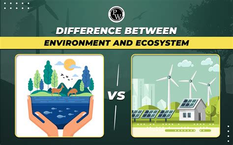 Difference Between Environment And Ecosystem Definition And Examples