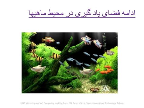 Rough Neural Networks Ppt