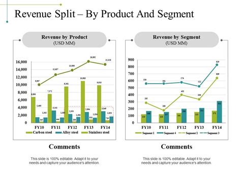 Revenue Split By Product And Segment Ppt Powerpoint Presentation Model Form