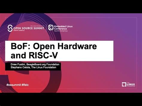 free video open hardware and risc v birds of a feather session from