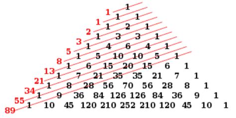 10 Facts About Leonardo Fibonacci Less Known Facts