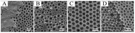Polymers Free Full Text Fabrication Of Pore Selective Metal Nanoparticle Functionalized