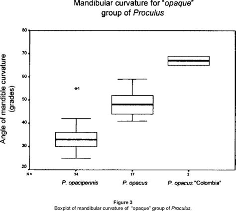 Proculus Giant Latin American Passalids Revision Phylogeny And