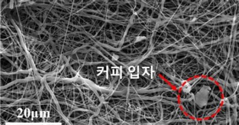 커피 찌꺼기 중금속 폐수 필터로 재탄생kist 필터 제조 기술 개발