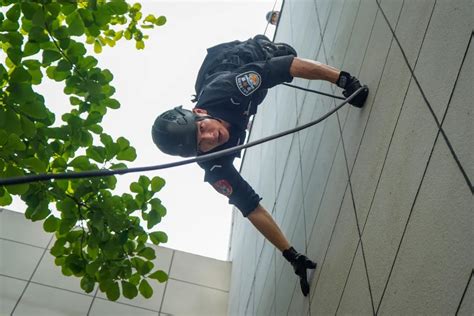 【全警实战大练兵】直击闵行特警夏训体能战术特训澎湃号·政务澎湃新闻 The Paper