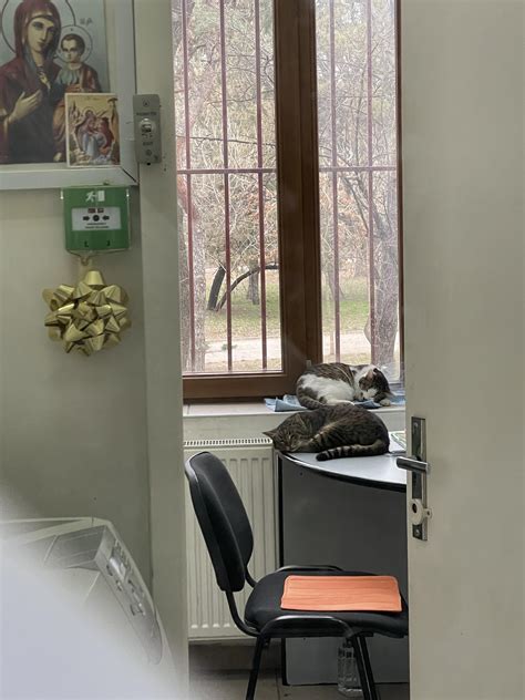 Best Anaf Images On Pholder Romania Bucuresti And Robursa