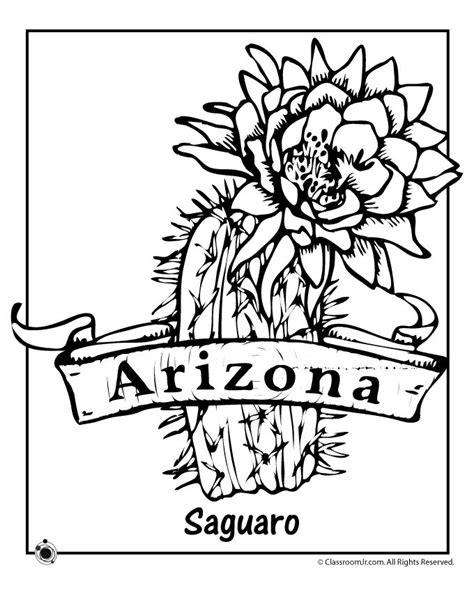State Flower Coloring Pages Arizona State Flower Coloring Page