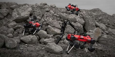 Des Chiens Robots Bientôt Sur Mars Sciences 7sur7be