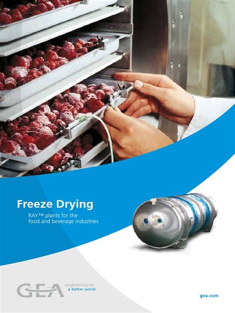 Batch Ray Freeze Drying Technology Tcm11 37505 Pdf Freeze Drying Ice