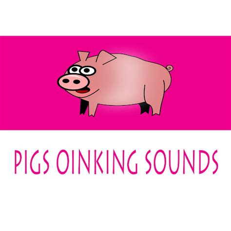 Pigs Oinking Sounds Youtube Music
