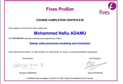 Professionaldevelopment Simulation Modeling Prosim