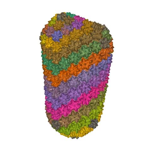 Structure Of The Hiv 1 Capsid 3d Surface Model Stock Illustration Illustration Of Chain