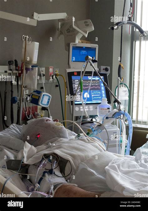 Toxic Epidermal Necrolysis Patient In Icu Patient With Toxic Epidermal