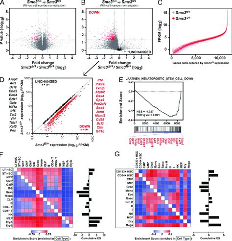 Smc3 Haploinsufficiency Perturbs Mrna Transcriptional Output Rna Seq