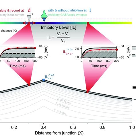 The Optimal Placement Of Inhibitory Synapses To Maximise The