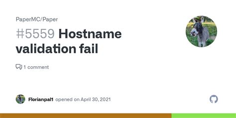Hostname Validation Fail · Issue 5559 · Papermcpaper · Github