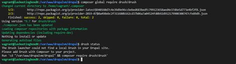 Symfony Global Option Does Not Exist While Doing A Composer