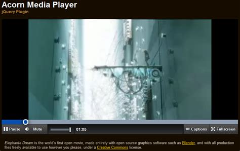Acorn Media Player Reproductor De Video Basado En Html5 Capa 8