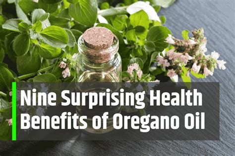Nine Surprising Health Benefits Of Oregano Oil