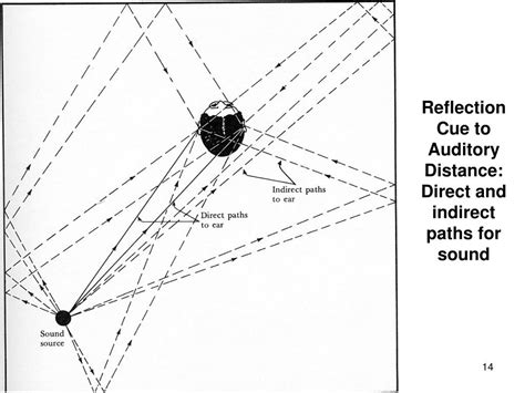 Ppt Auditory Localization And Music Perception Powerpoint