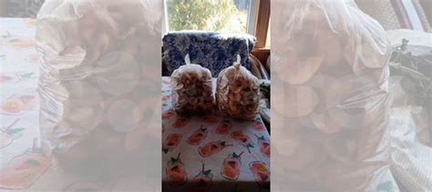 Сухие яблоки купить в Санкт Петербурге Товары для дома и дачи Авито