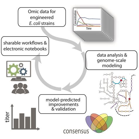 JBEI Scientists Unravel Omics Data Using Systems Biology Based Workflow To Improve Biofuels