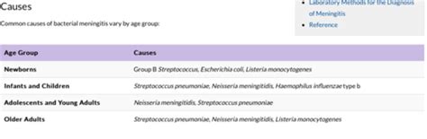 Micro Lab Flashcards Quizlet