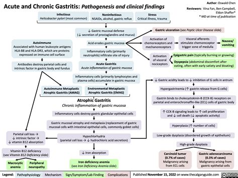 Acute And Chronic Gastritis Pathogenesis And Clinical Findings