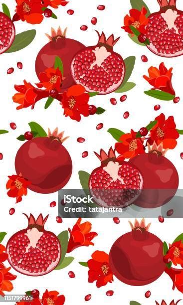 완벽 한 패턴 석류 과일과 흰색 바탕에 씨앗 신선한 유기농 식품 레드 루비 과일 패턴입니다 벡터 일러스트입니다 0명에 대한 스톡 벡터 아트 및 기타 이미지 Istock