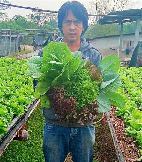 เกษตรฯ ขยายผลปุ๋ยชีวภาพ สารชีวภัณฑ์สู่กลุ่มเกษตรกร สถานีวิทยุ