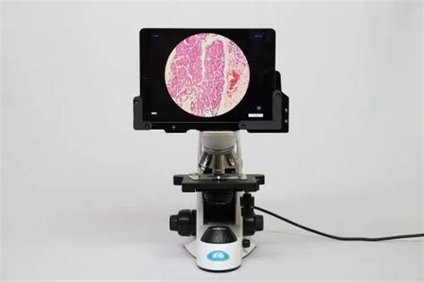 Cilika Binocular Microscope Led 4x 0 10 W D 12 1mm 10x 0 25 W D 4 64mm 40x 0 65 W D 0