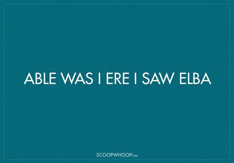 Palindromic Phrases Thatll Make Your Head Spin Right Round