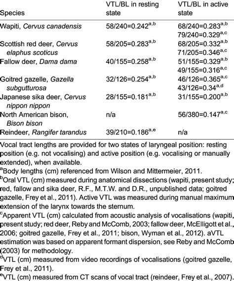 Ratios Of Vocal Tract Length Vtl To Body Length Bl Download Table