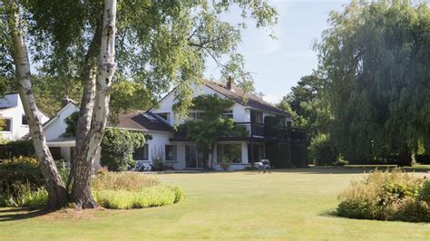 Tree Pruning Mistakes To Avoid Making In Your Backyard Homes And Gardens