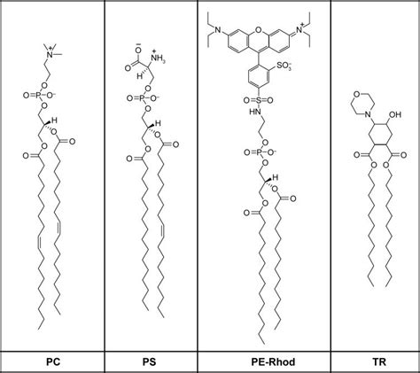 Chemical Structure Of Lipids