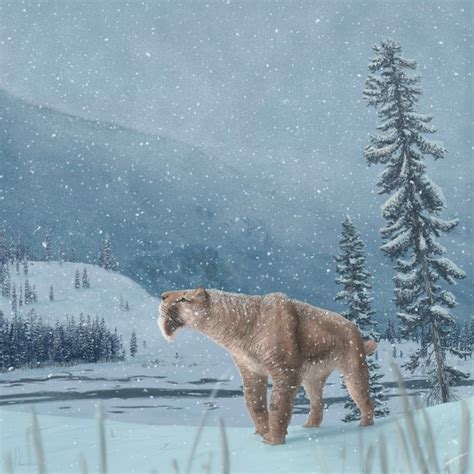 Smilodon Fossil Wiki Fandom