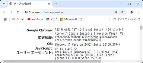 Google Chrome 133 0 6943 127 脳脂肪のパクリメモ