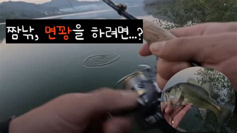 짬낚 무조건 잡는 방법 짬낚 배스 Youtube