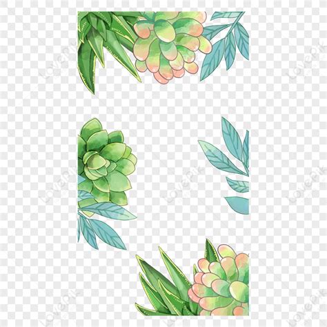 수채화 식물 선인장 인스 타 그램 이야기 테두리 일러스트 잎 봄 손유칼립투스낭만적 인 Png 일러스트 무료 다운로드 Lovepik