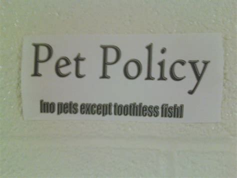 Bad Typography Signs