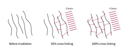 Understanding Different Types Of Crosslinking In Polymers Ebm Machine