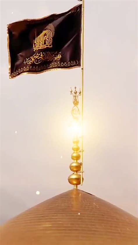 کلیپ سلام به امام رضا