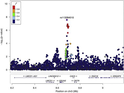 Locus Zoom Plot Of Rs113284510 Locus Zoom Plot Of Meta Analysis